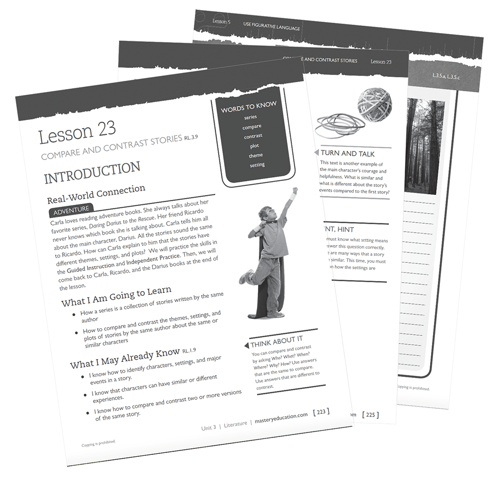 Measuring Up to Florida's B.E.S.T. ELA Standards | Perfection Learning