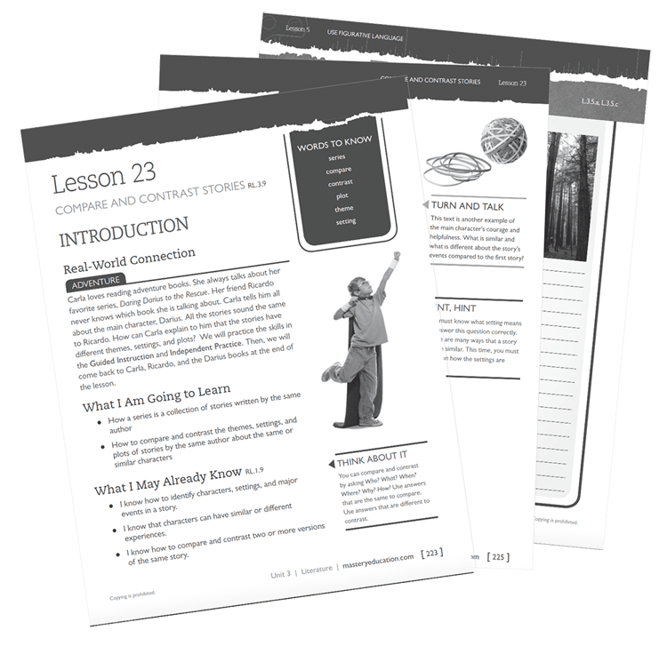 Measuring Up to Florida's B.E.S.T. ELA Standards | Perfection Learning